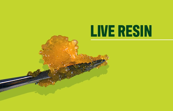 RISE | All About Marijuana Concentrates | Types, Benefits & How to Use