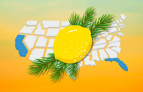 RISE Dispensary Recreational & Medical Marijuana Dispensaries