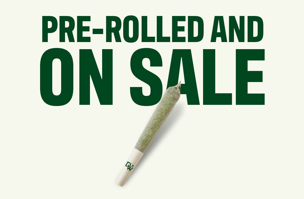 Best Cannabis Strains for Video Gaming | RISE Dispensaries