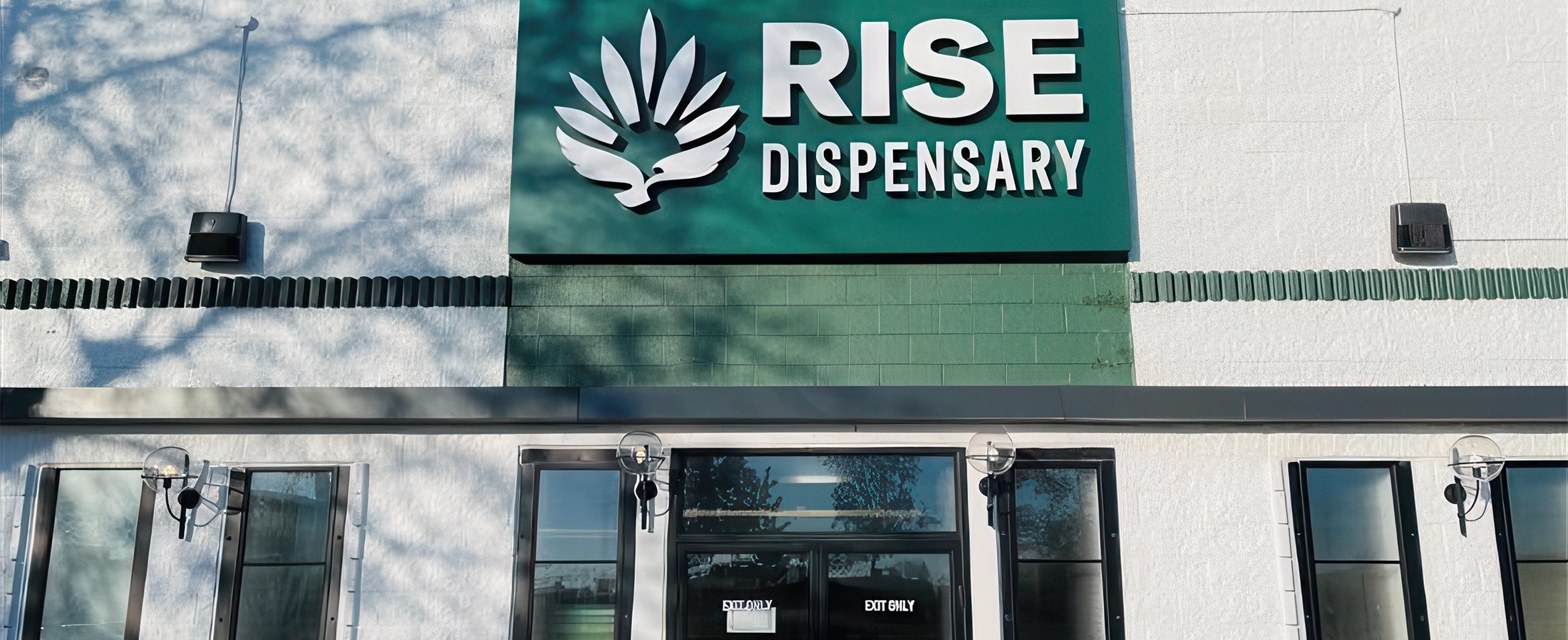 Cannabis Bud vs. Shake vs. Popcorn | RISE Cannabis