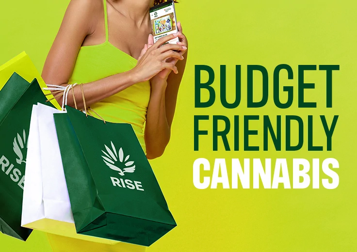 Find Connecticut Marijuana Dispensaries | RISE Cannabis CT