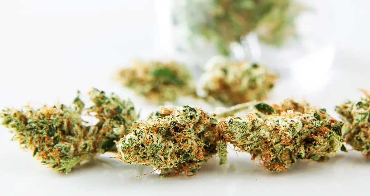 Top Cannabis Strains for Focus | RISE Dispensaries