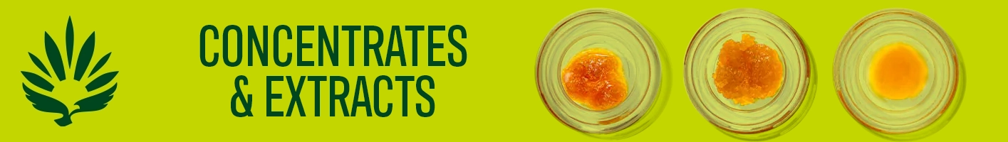 RISE | All About Marijuana Concentrates | Types, Benefits & How to Use
