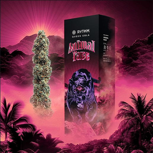 Introducing RYTHM Queen Cola | RISE Dispensaries