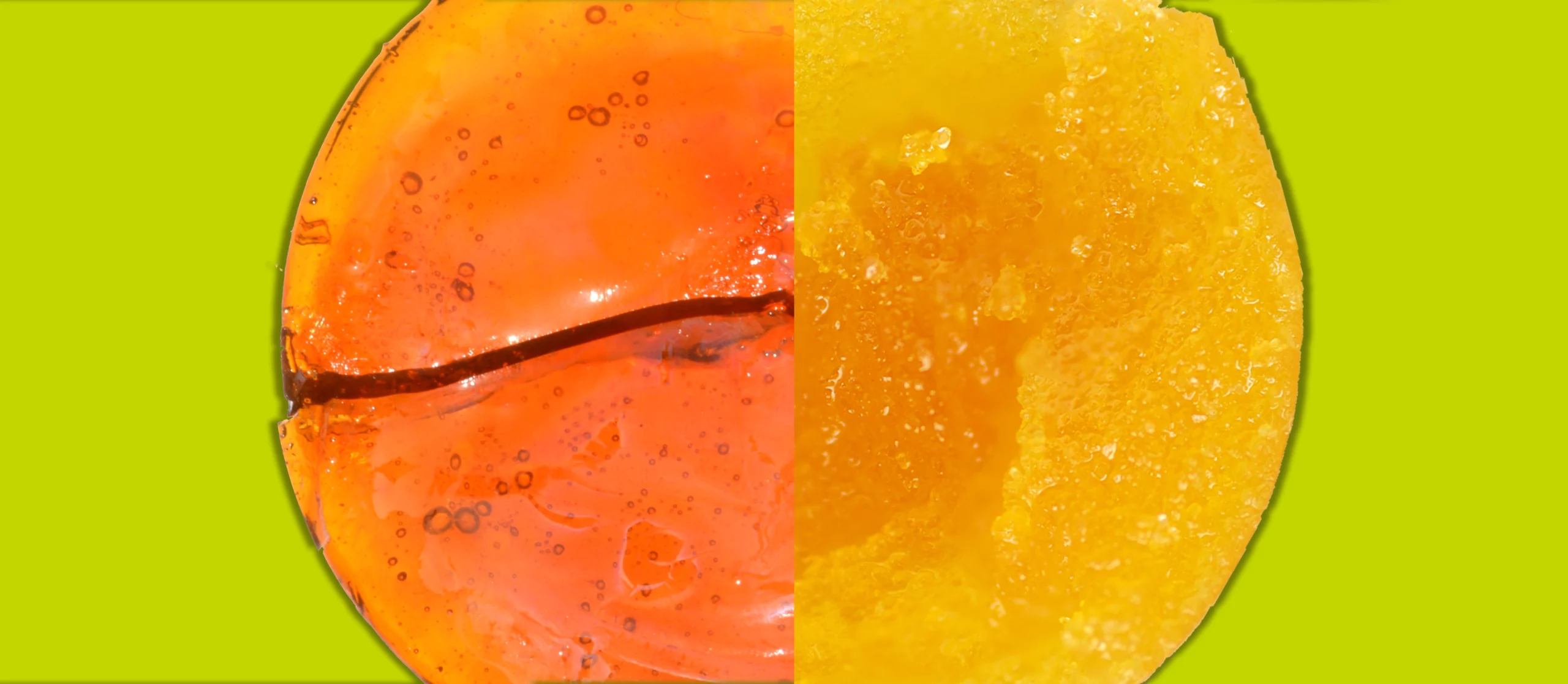 The Difference Between Live Rosin vs. Live Resin | RISE Dispensaries