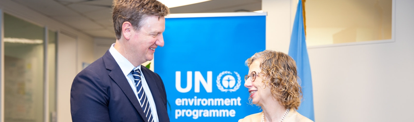 Palmetto Blog Header