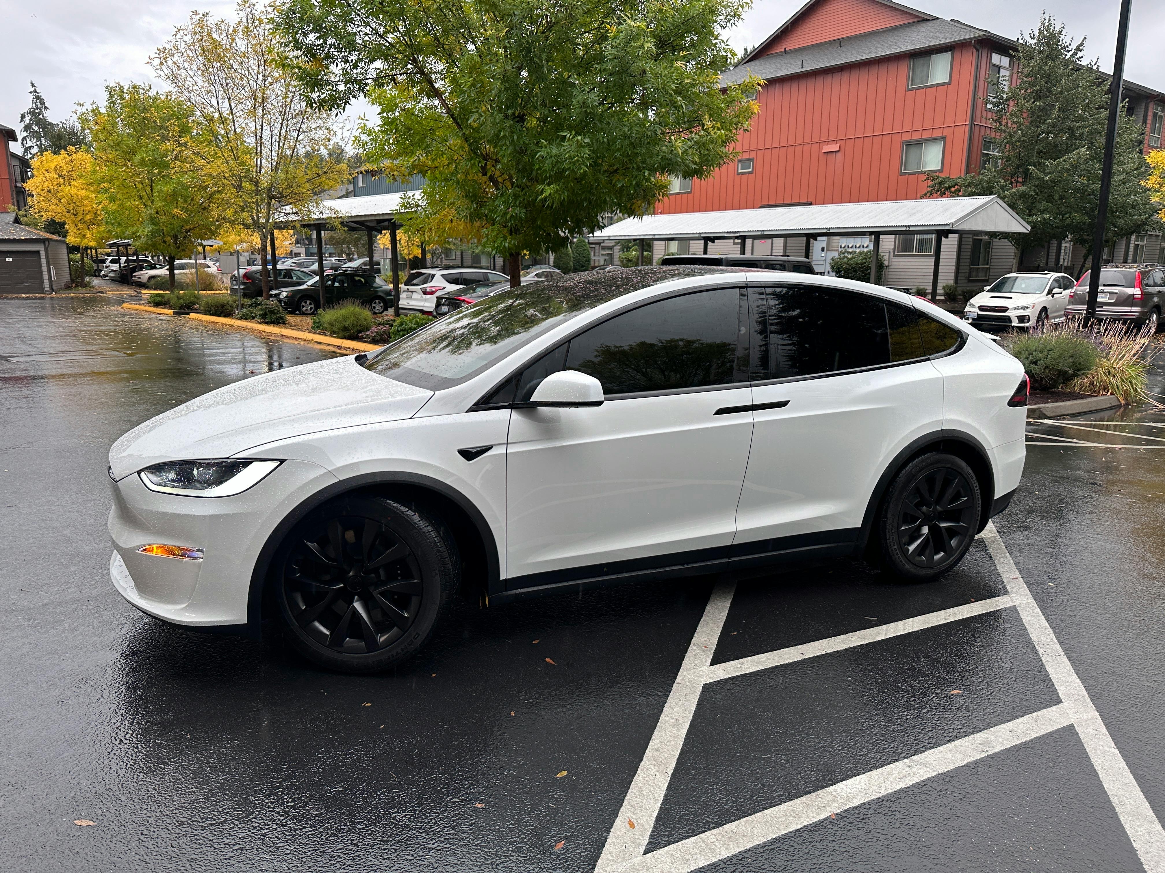 Tesla Model X (White)