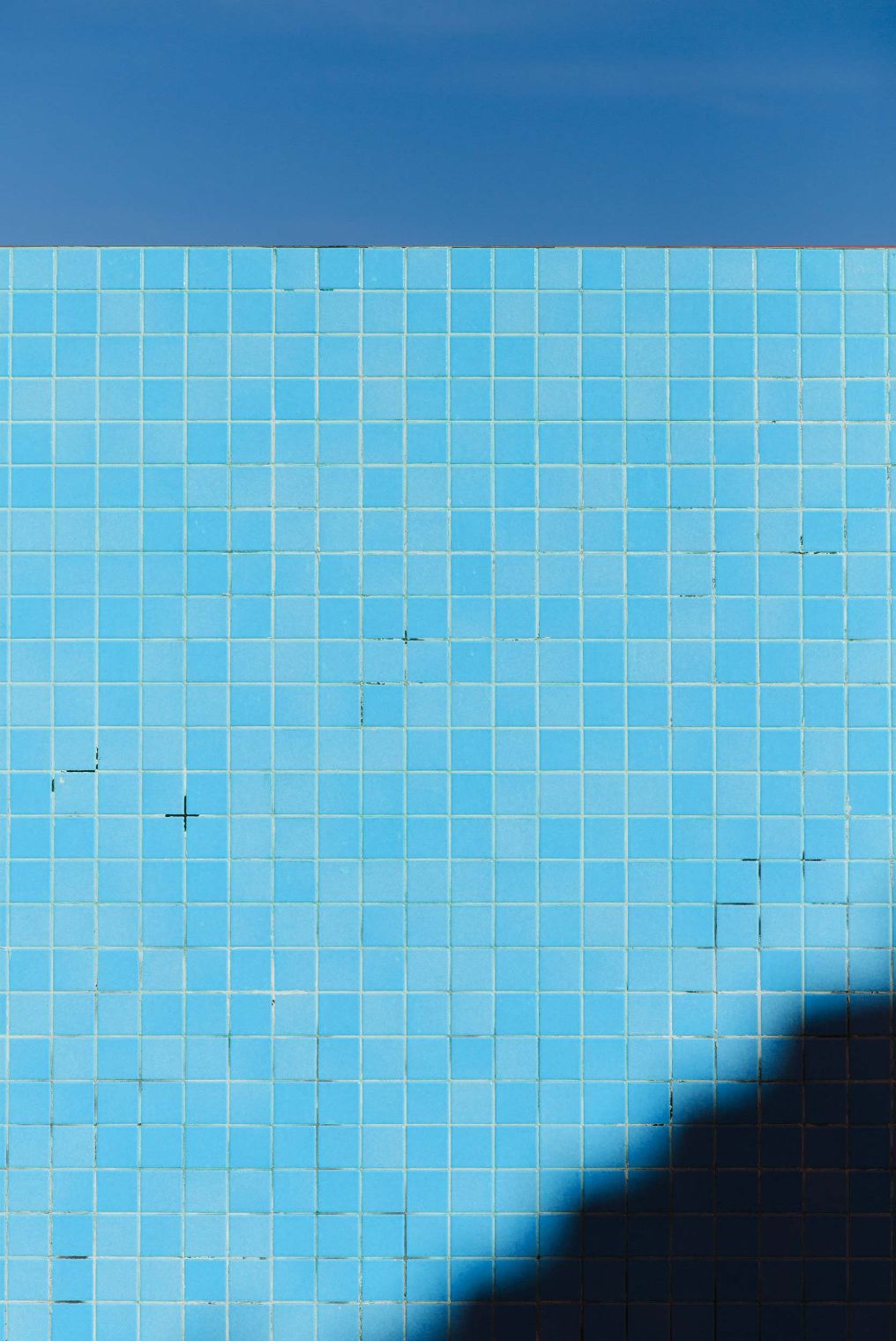 Color Cannabis | Home