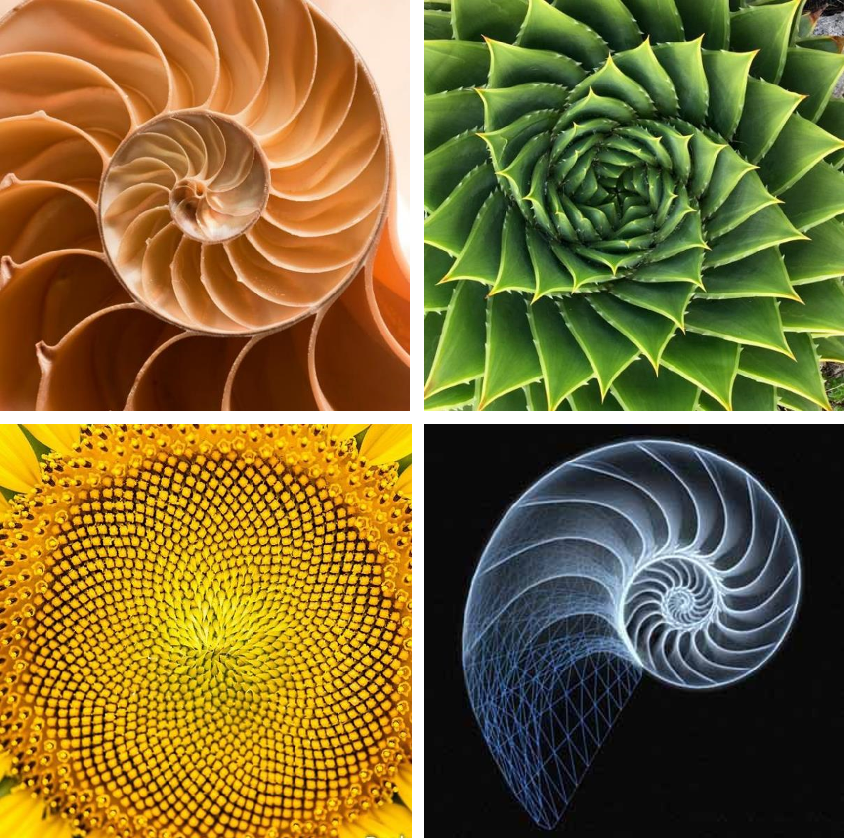 55 Bishopsgate | AFK