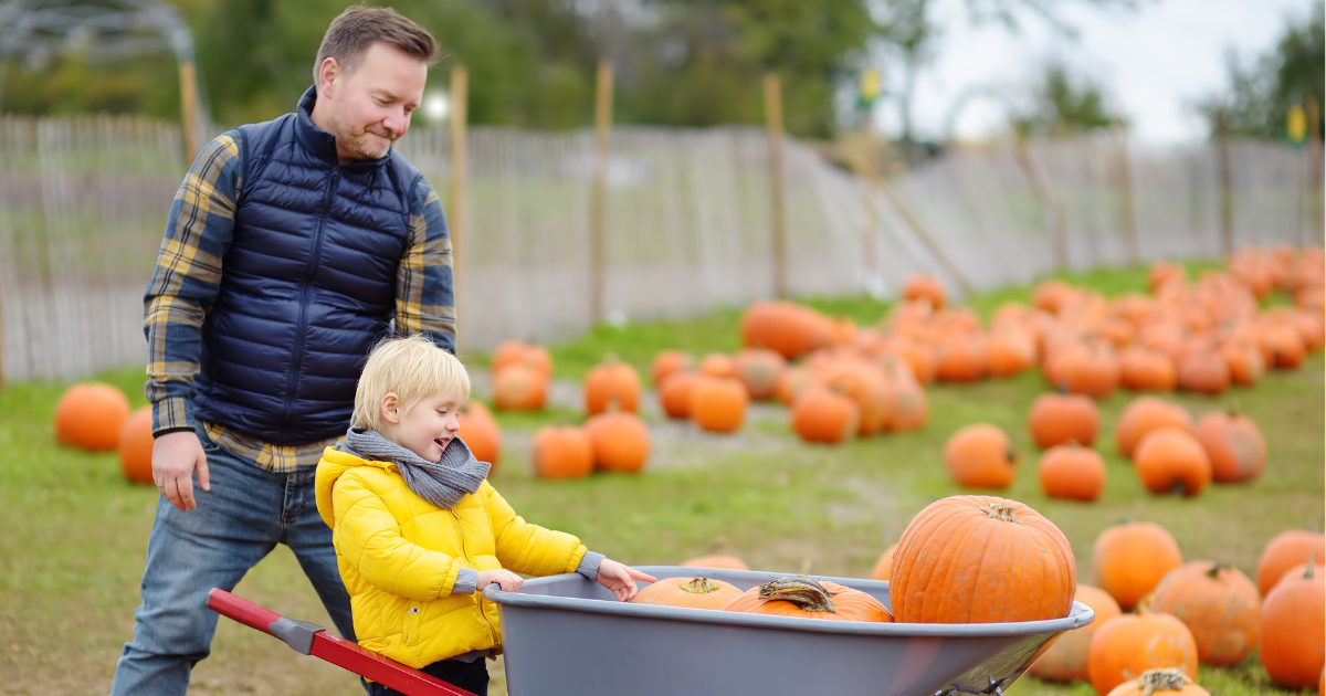 Fall into Fun Speech and Language Activities This Season