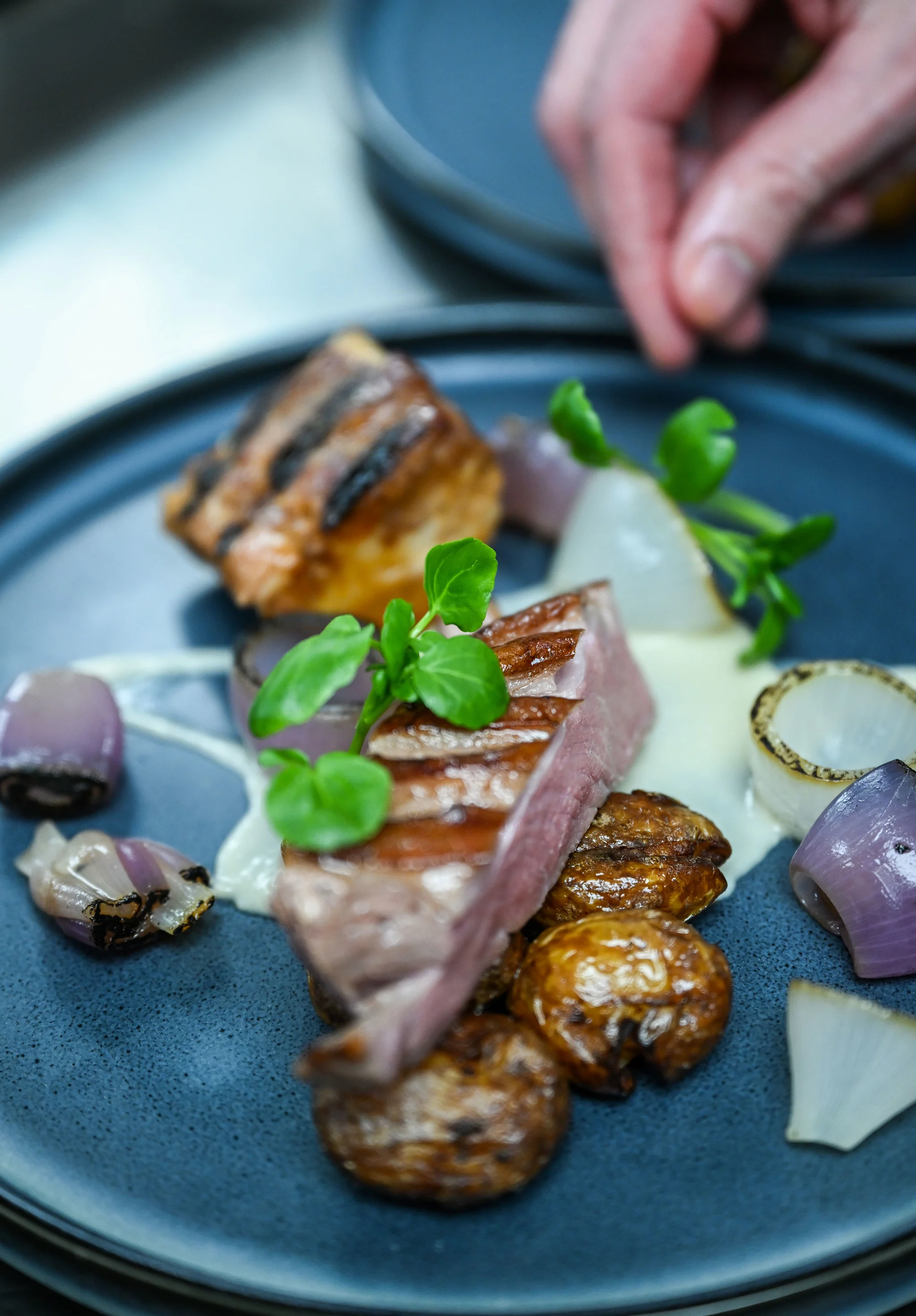 Blue Lagoon Lava Restaurant: Gourmet Dining & Menu | Blue Lagoon Iceland