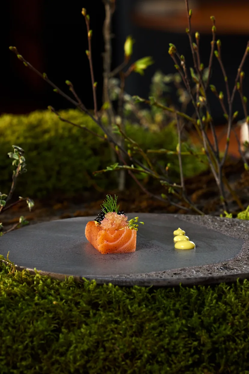 Moss Restaurant | Michelin-starred cuisine | Blue Lagoon Iceland