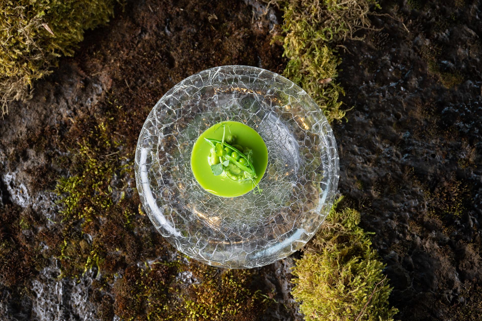 Moss Restaurant | Michelin-starred cuisine | Blue Lagoon Iceland