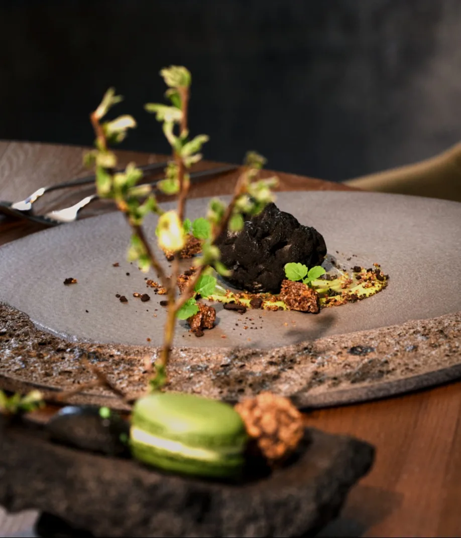 Moss Restaurant | Michelin-starred cuisine | Blue Lagoon Iceland