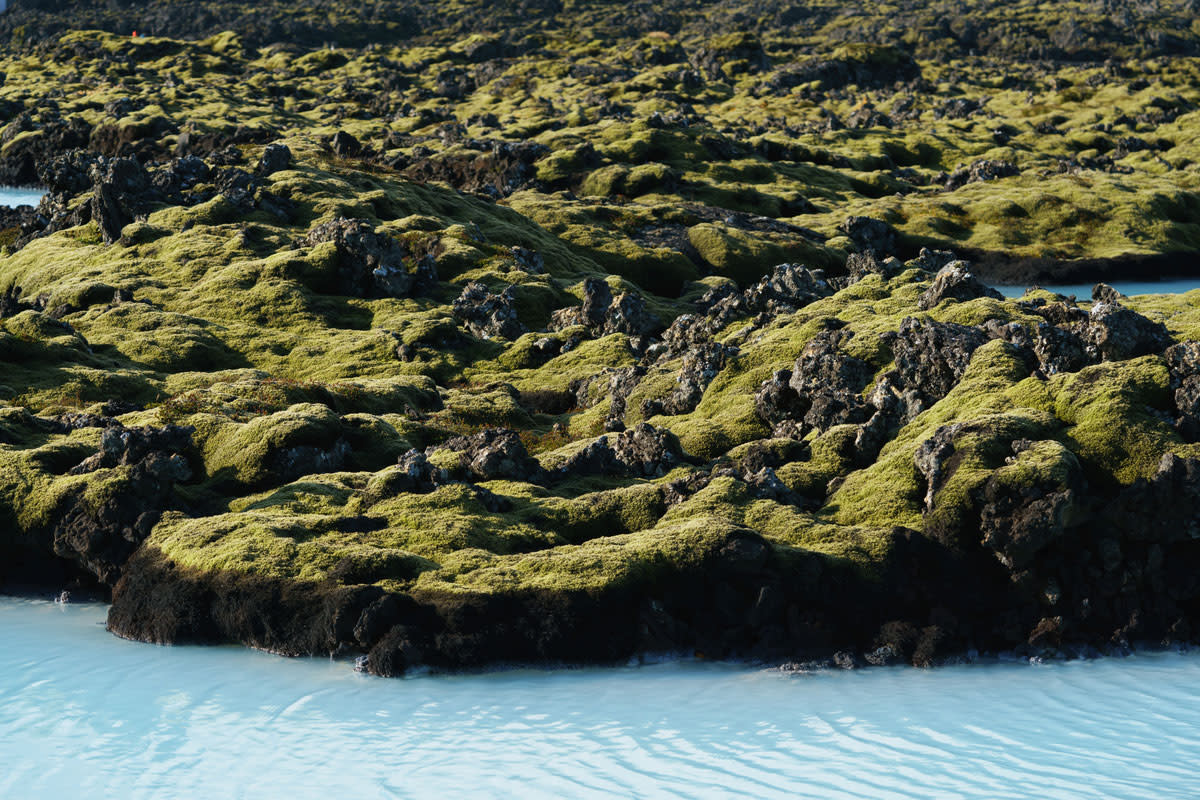 Blue Lagoon Story in pictures: discover the Gallery | Blue Lagoon Iceland
