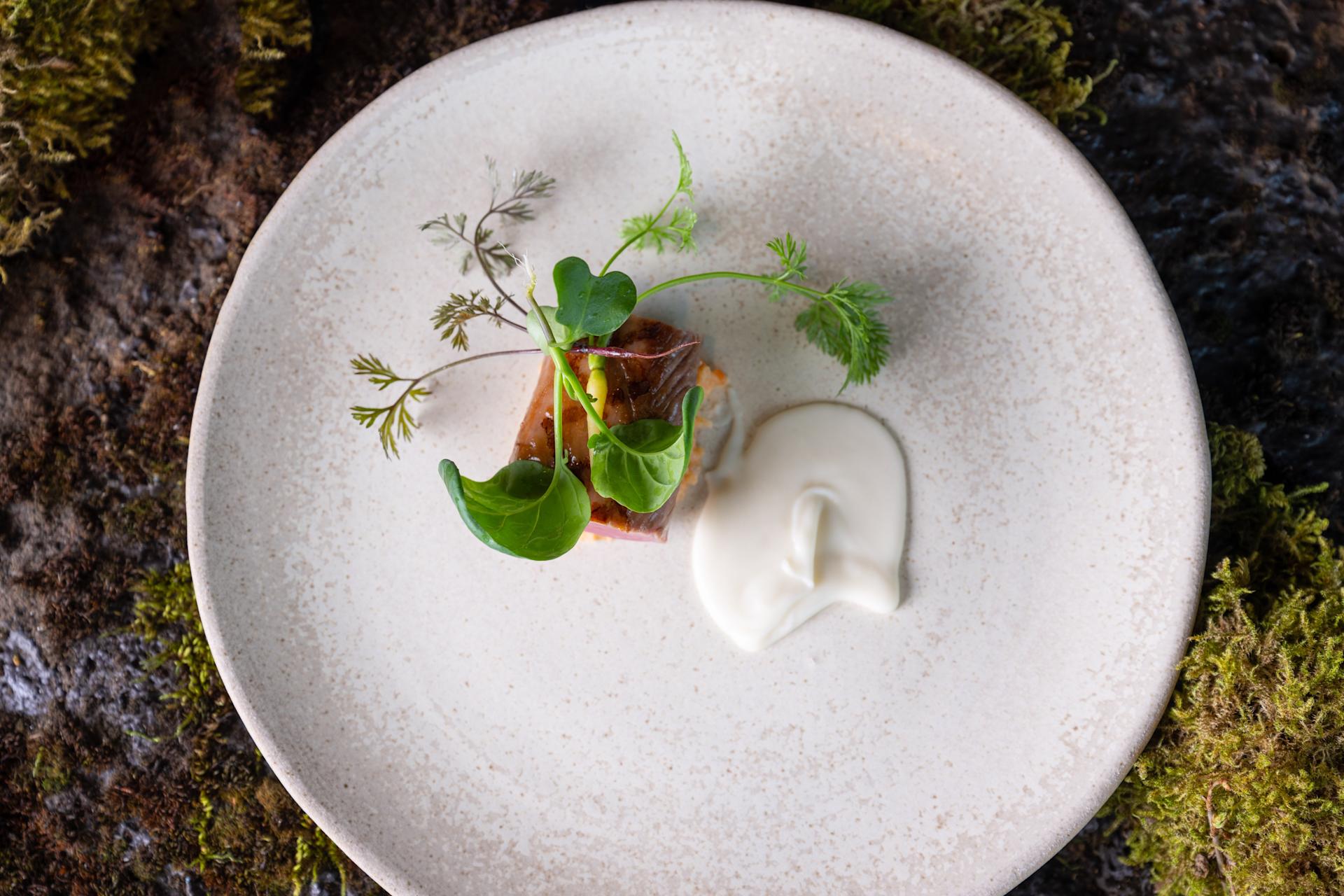 Moss Restaurant | Michelin-starred cuisine | Blue Lagoon Iceland