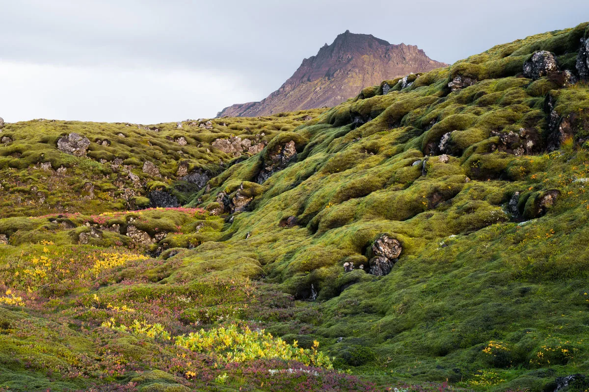 Blue Lagoon Iceland