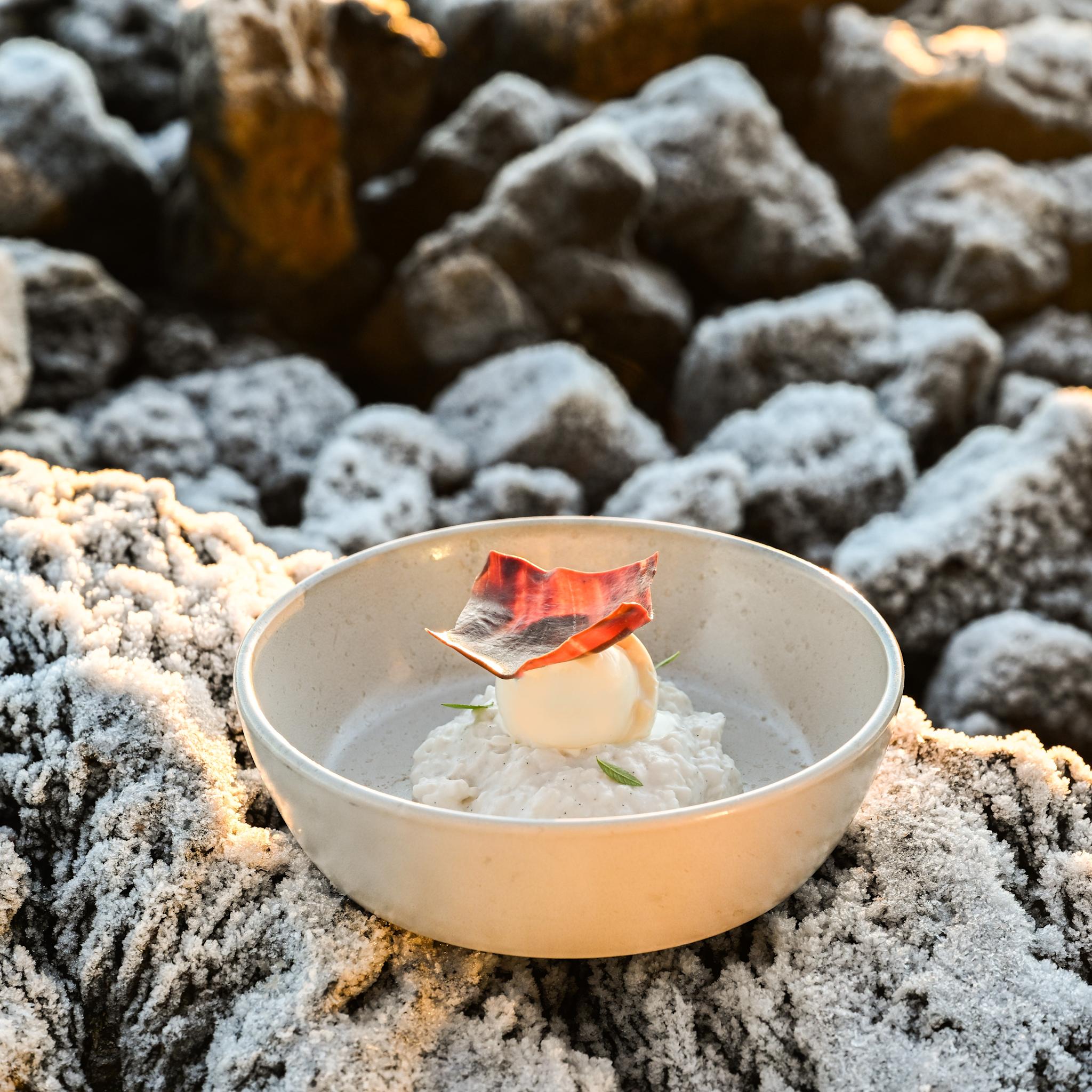 Blue Lagoon Moss Restaurant: Unforgettable Cuisine | Blue Lagoon Iceland