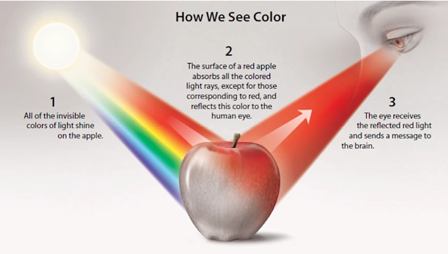 The Basics: How we see color | How Whitening Works | Continuing ...