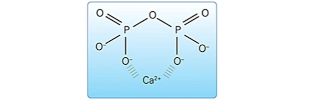 Calculus Control | A-Z Fundamentals of Dentifrice | Continuing ...