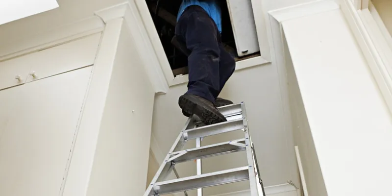 Installing a loft ladder: a DIY guide for homeowners - Carpenters ...
