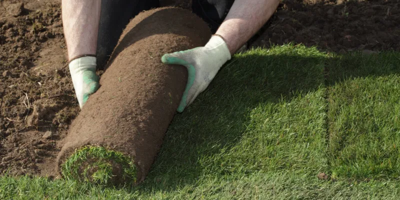 How to lay turf: a beginner’s guide - Garden services - Home and garden ...