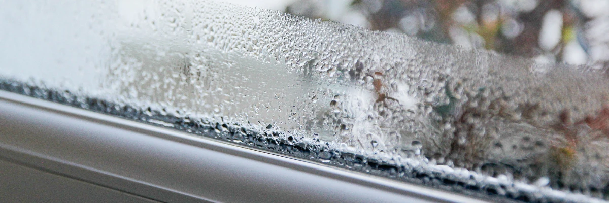 How to stop condensation on windows: reliable methods - Home repairs ...