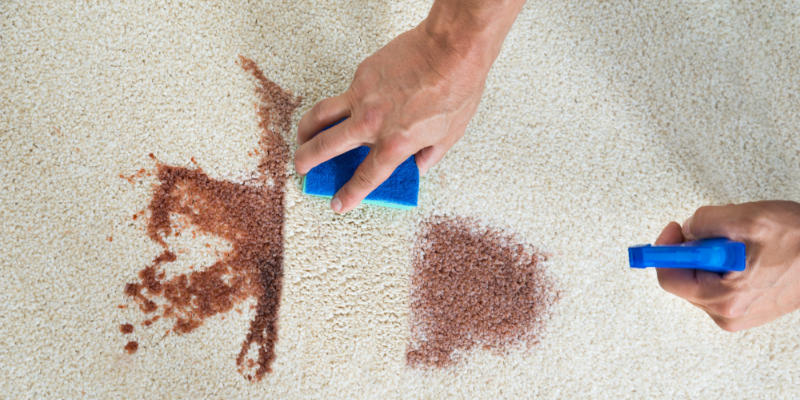 How to clean carpet: best techniques for a deep clean - Cleaning - Home ...