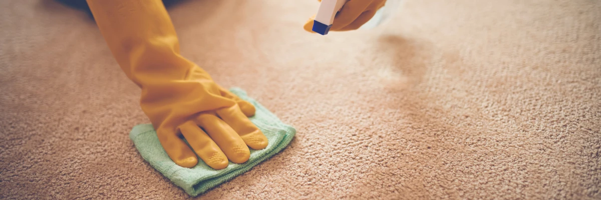 How to clean carpet without a machine: DIY tips - Cleaning - Home and ...