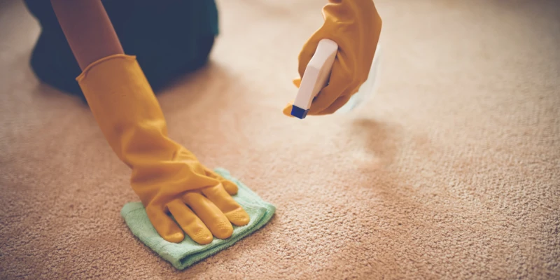 How to clean carpet stains: effective solutions - Cleaning - Home and ...
