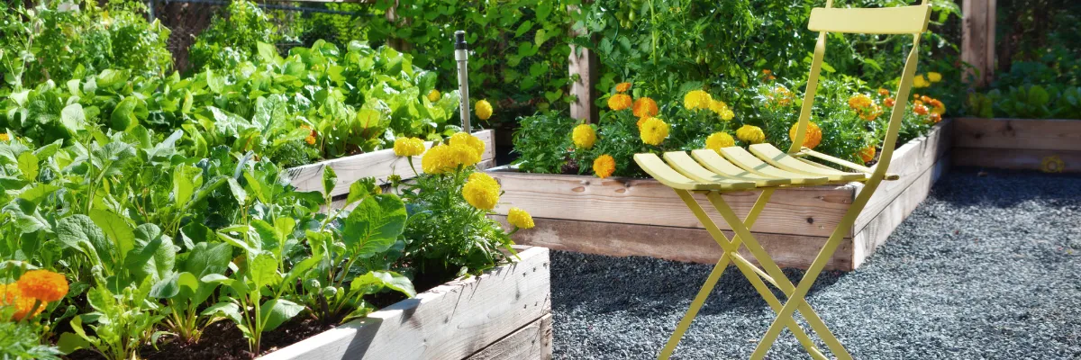 How to make a raised garden bed: simple instructions - Garden services - Home and garden - Yell blog