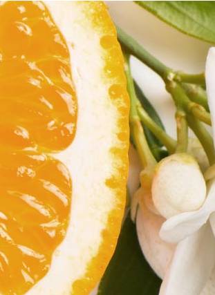 Orange Blossom for Hair | Herbal Essences