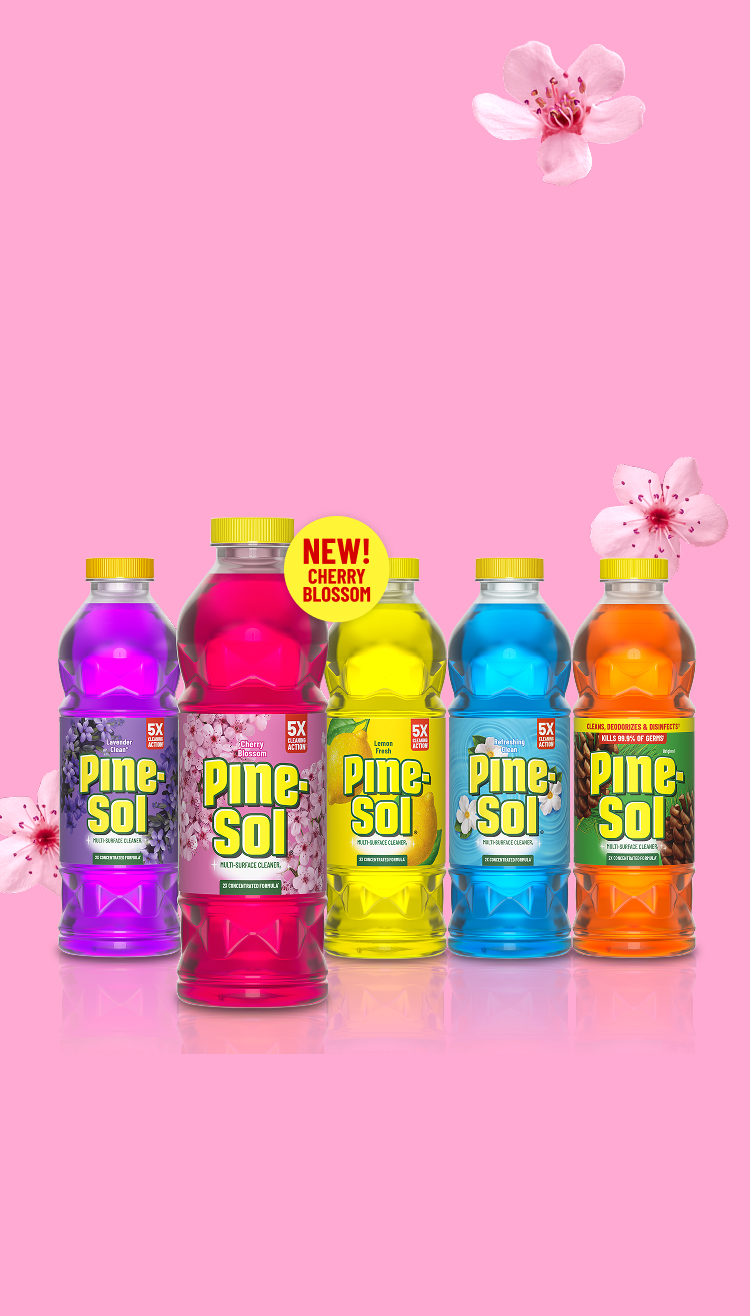 Pine Sol Quotes Home | Queenpineasmr Shop