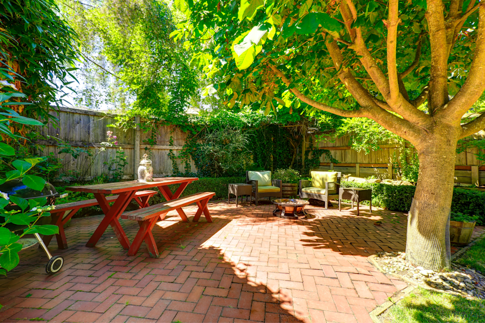 Transform Your Property: 10 Trees That Can Boost Your Home's Worth ...