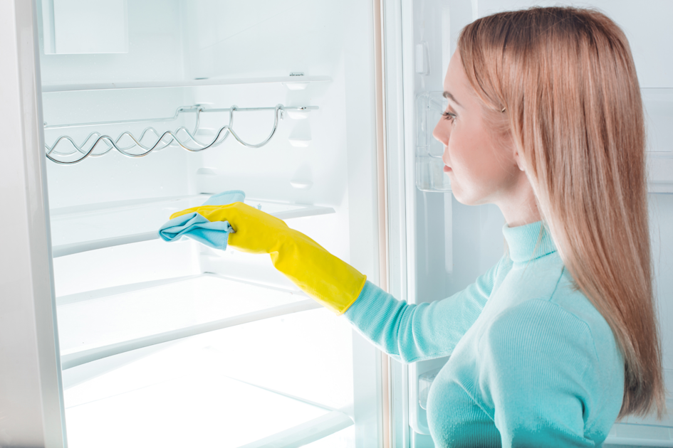The Ultimate Guide to Keeping Your Fridge Clean and Organized - Findszy