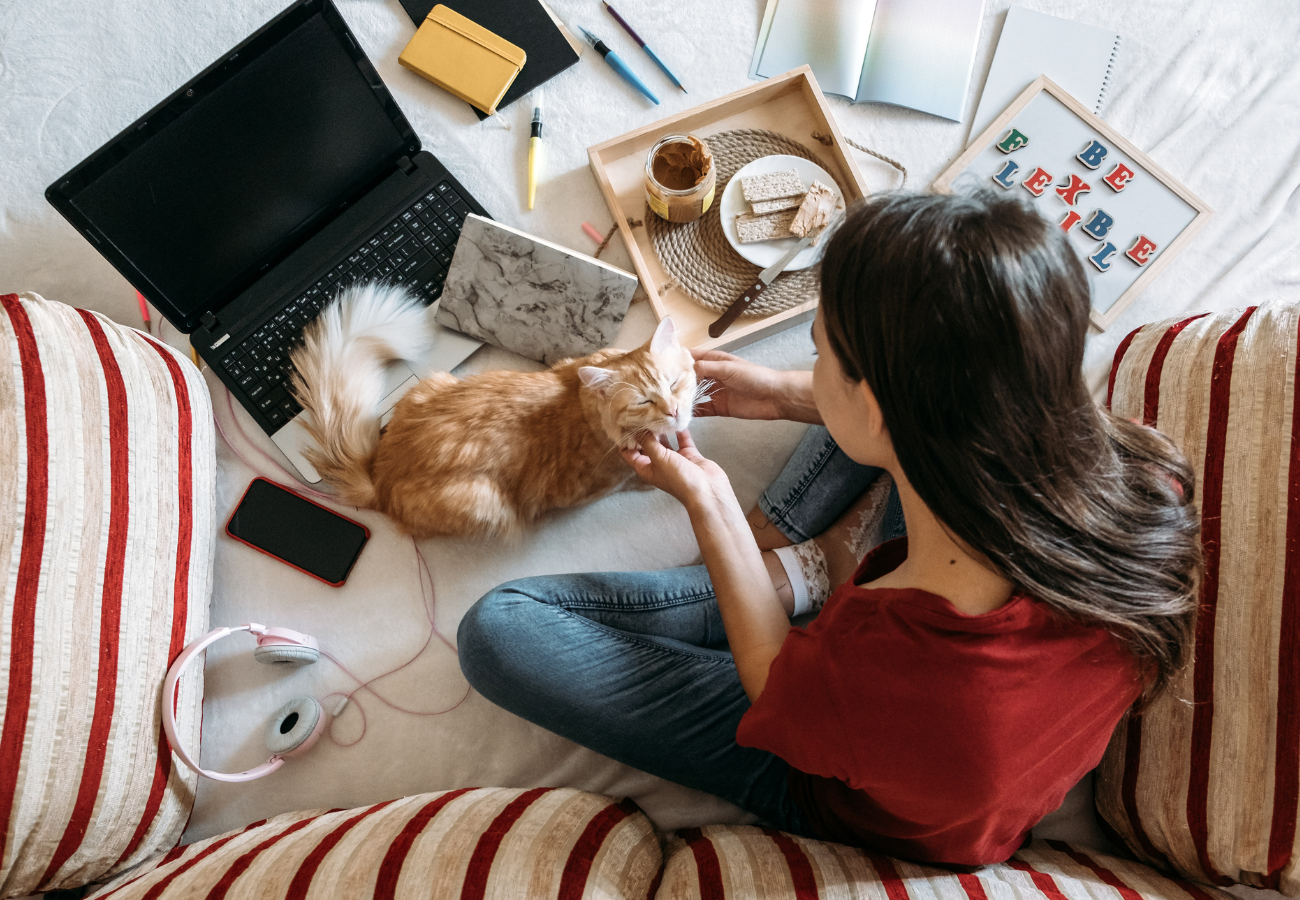 Best Industries for Remote Work: Opportunities and Trends - InfoPedia