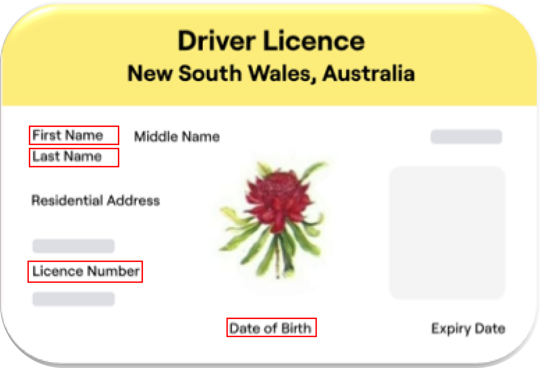 Frequently Asked Questions | Wagetap
