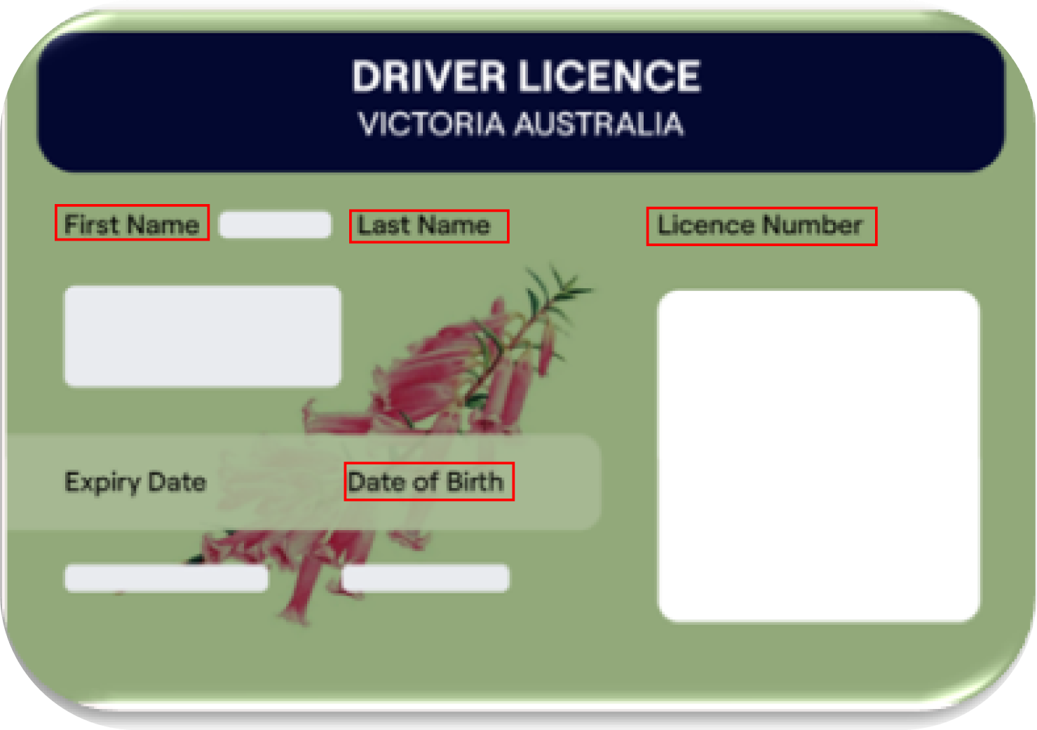 Frequently Asked Questions | Wagetap