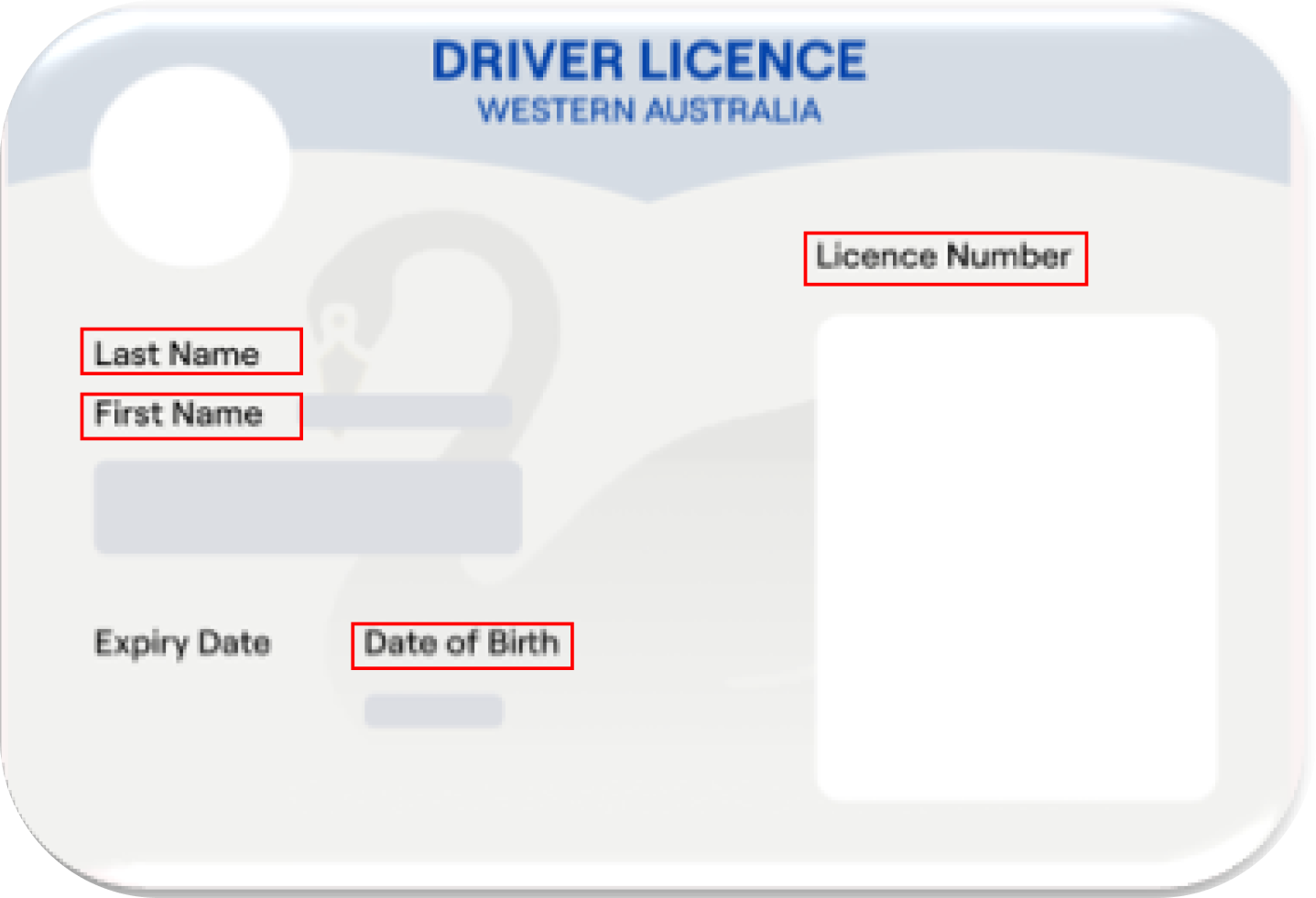 Frequently Asked Questions | Wagetap