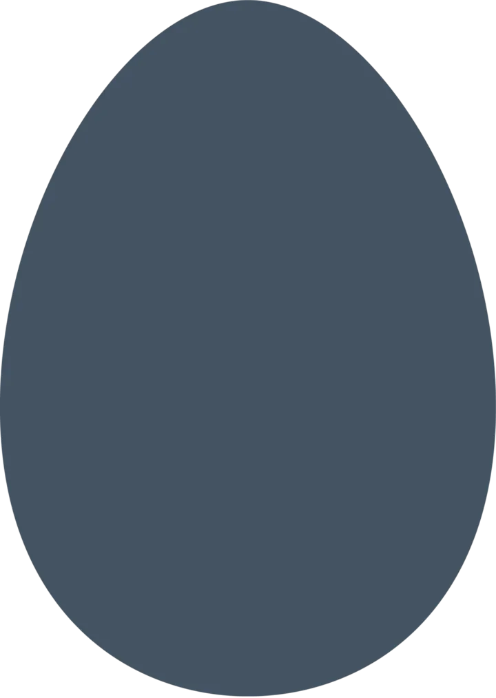 HMD, die Hersteller von Nokia Smartphones