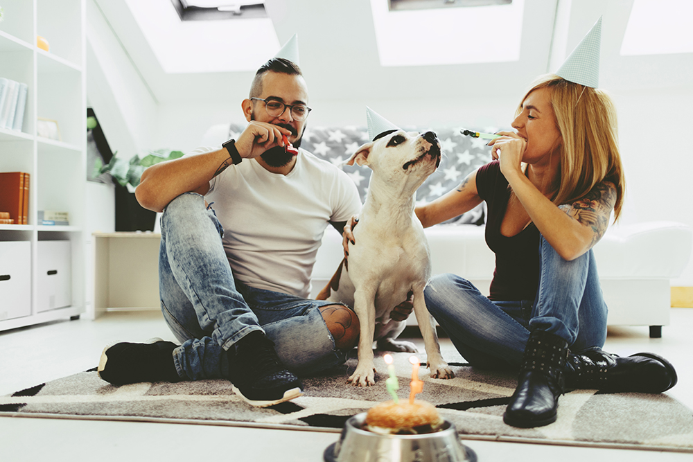 Love your pet day: Celebrate the animals in your life