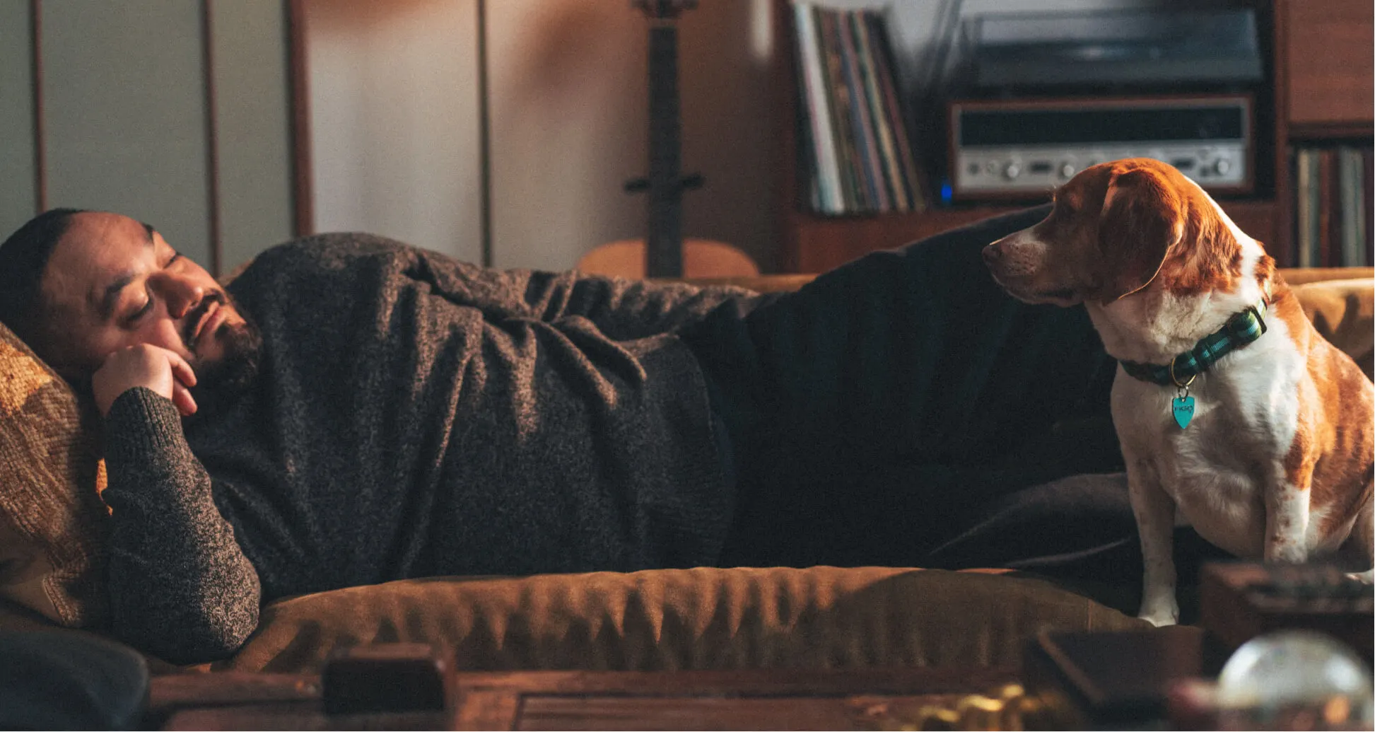 Pet Insurance Coverage | Figo