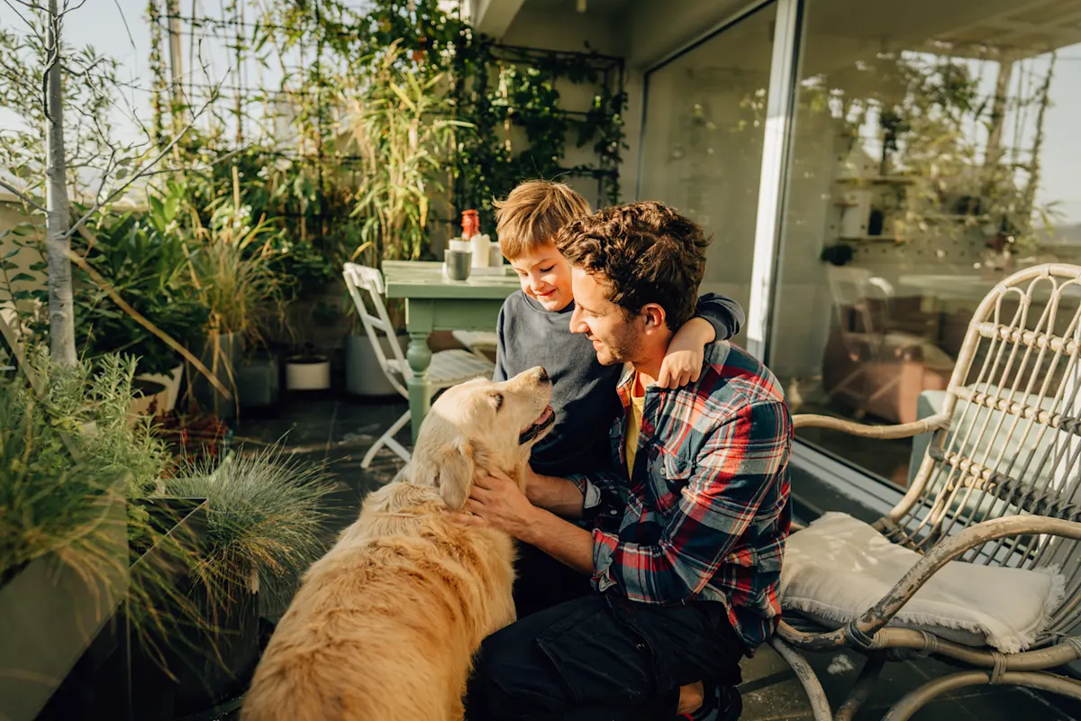 Cultivating Green Space for City Pets: Creating a Garden Oasis for Your ...