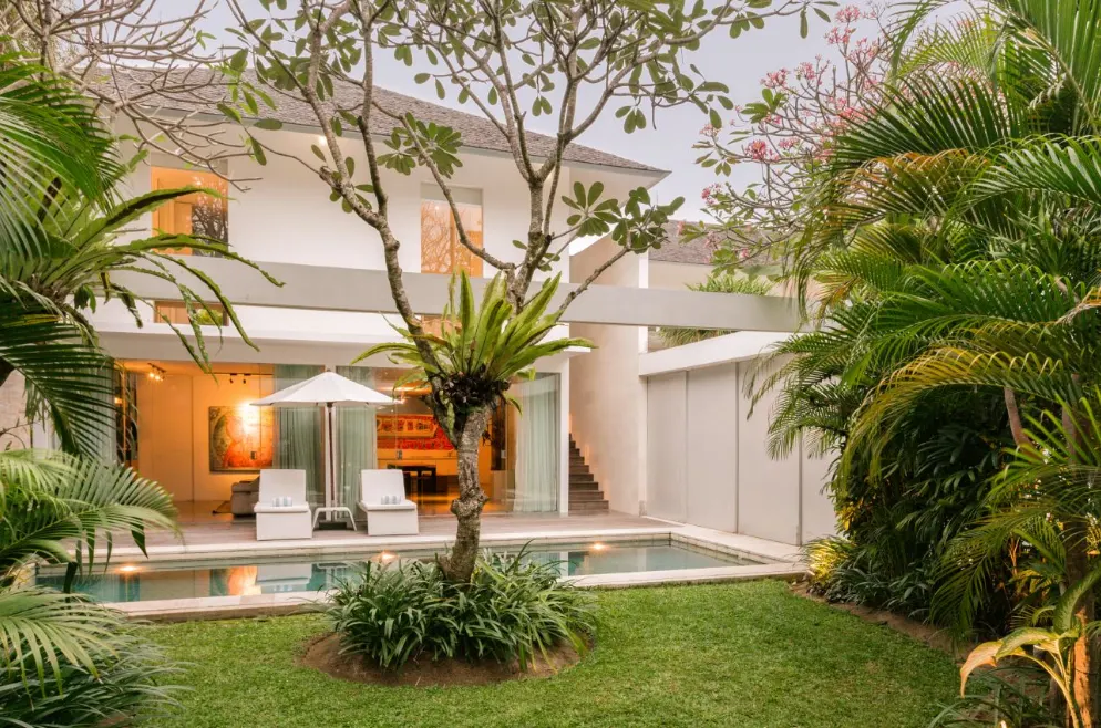 Tips to Design a Perfectly Pet-Friendly Pool