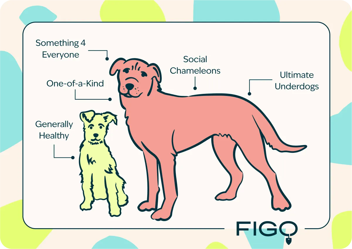 Mutts: The Good, the Bad, and the Ugly