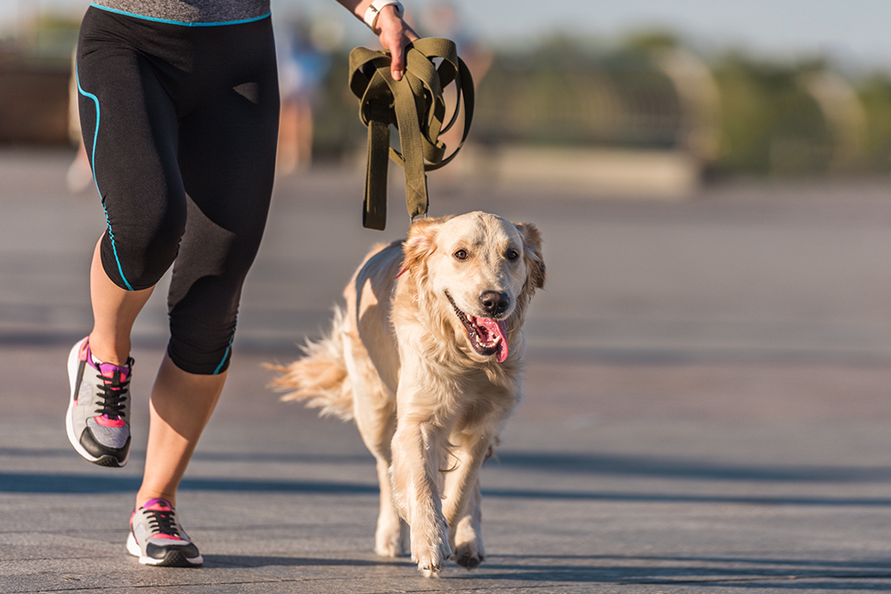 5 Ways To Exercise With Your Dog: Tips for Pet Parents