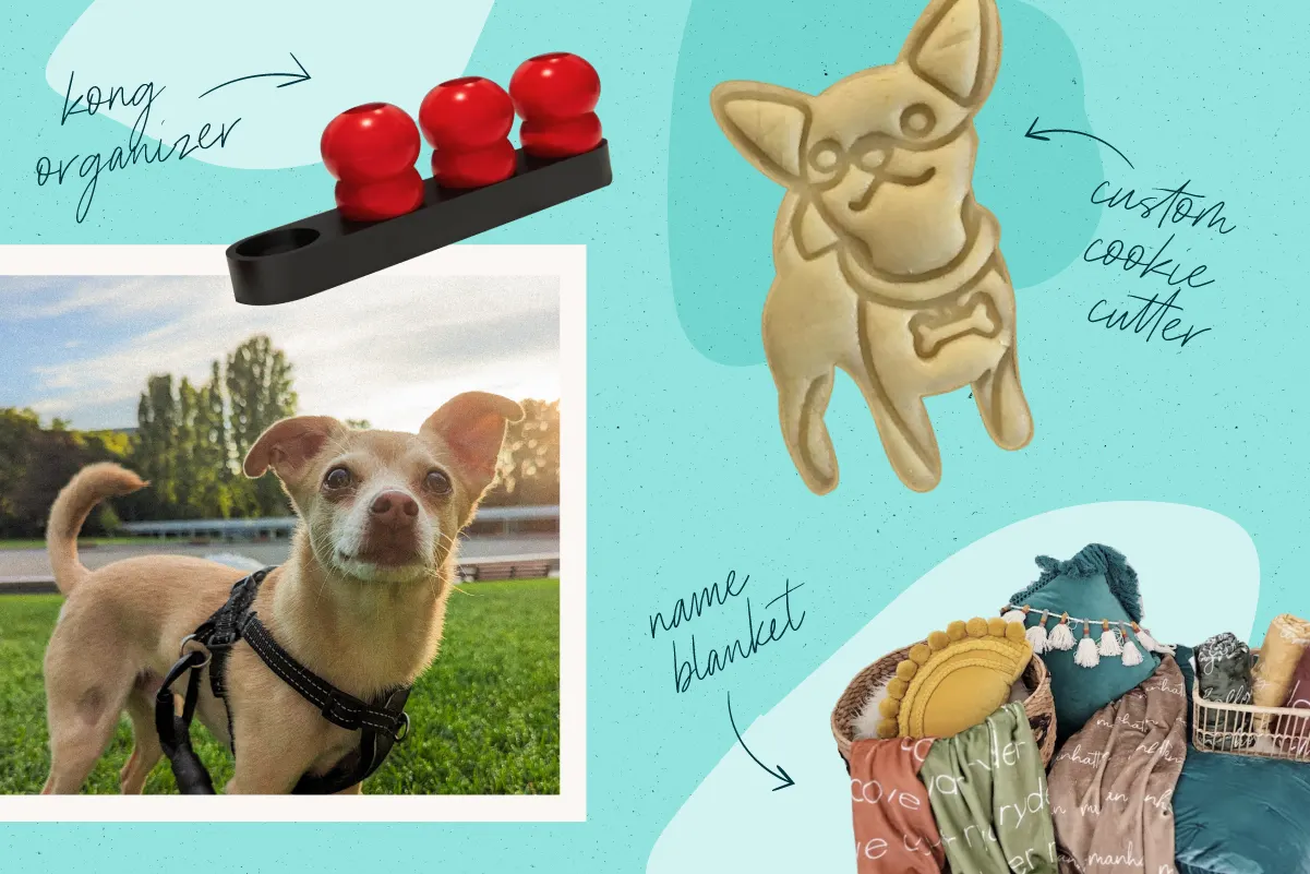 Will Reviews One-of-a-Kind Etsy Finds for Dogs