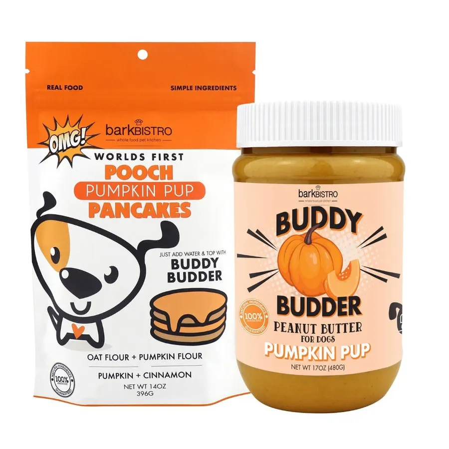 Easy “Boo Basket” Ideas for Your Dog or Cat