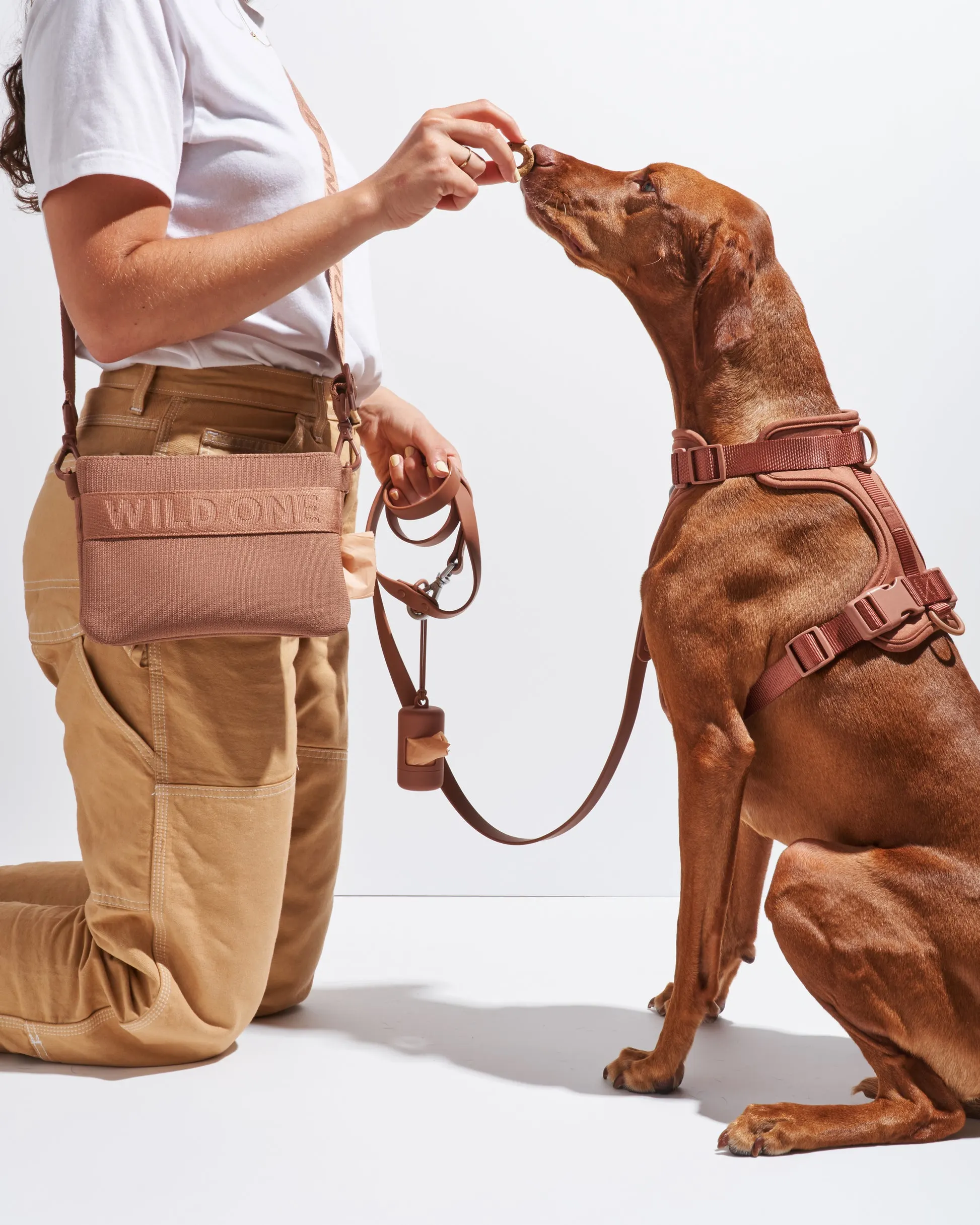 Your Pet Doesn't Care About Pantone's Color of the Year, But You Should