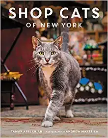 10 Creative Gifts Your Cat Will Go Crazy For